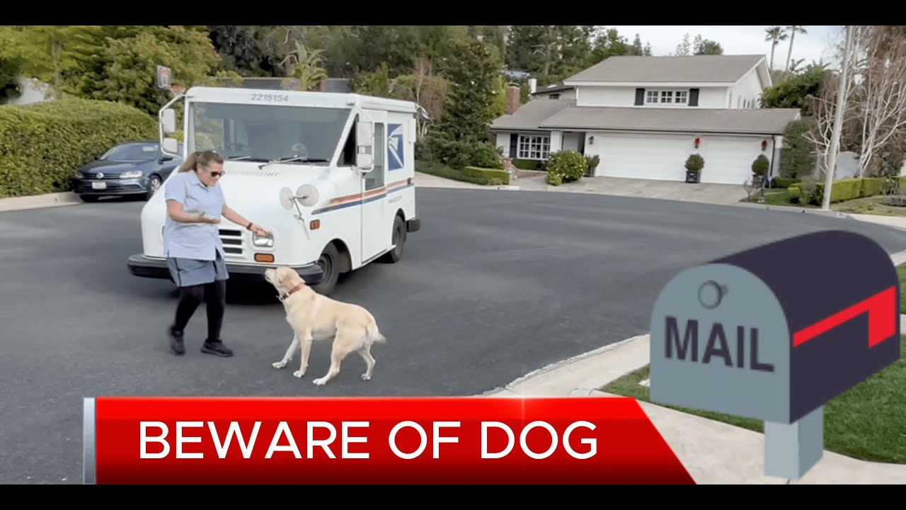 Usps Threatens To Stop Delivering Mail To Entire Block Due To