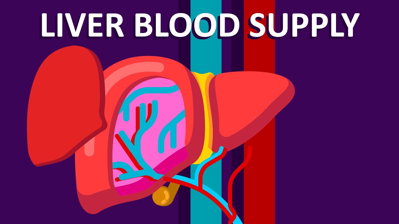 Liver The Master Filter Youtube
