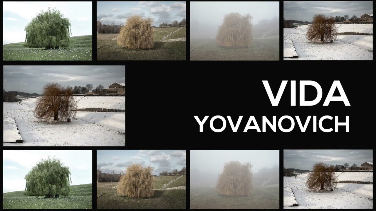 Vida Yovanovich Medalla Al Mérito Fotográfico 2022 Youtube