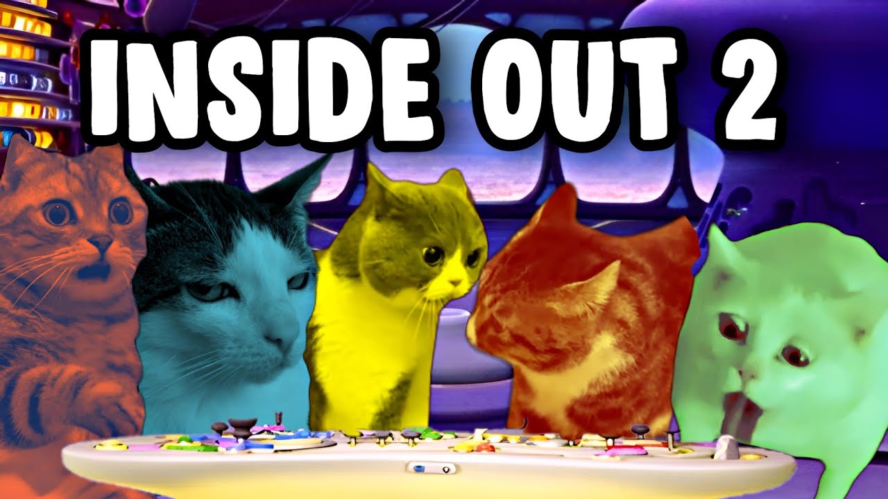 Cat Memes Movie Inside Out 2 Recap Youtube