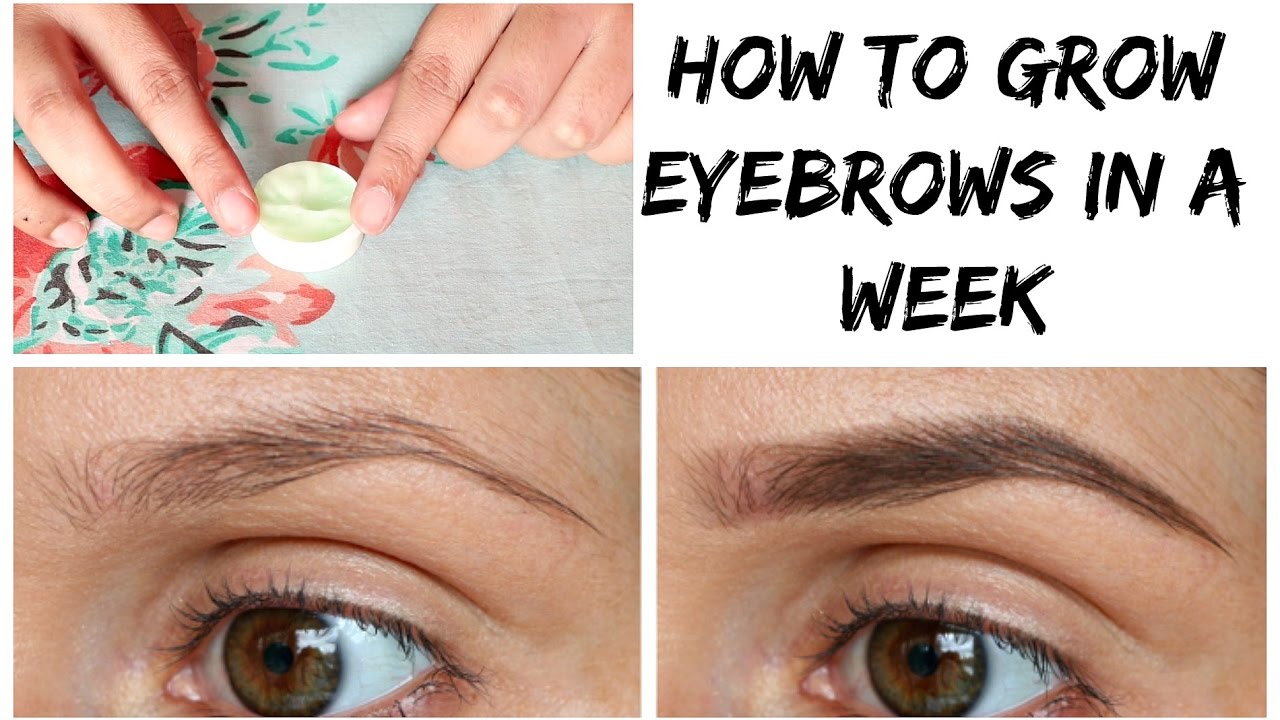 Grow Hair Eyebrows At William Fellows Blog