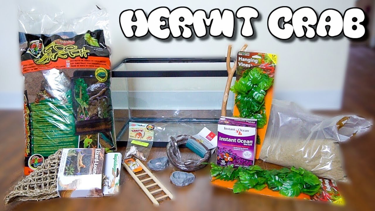 New Hermit Crab Only Tank Setup Youtube