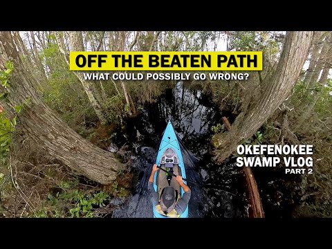 Okefenokee Swamp Exploring New Areas рџ њ Vlog Part 2 Youtube