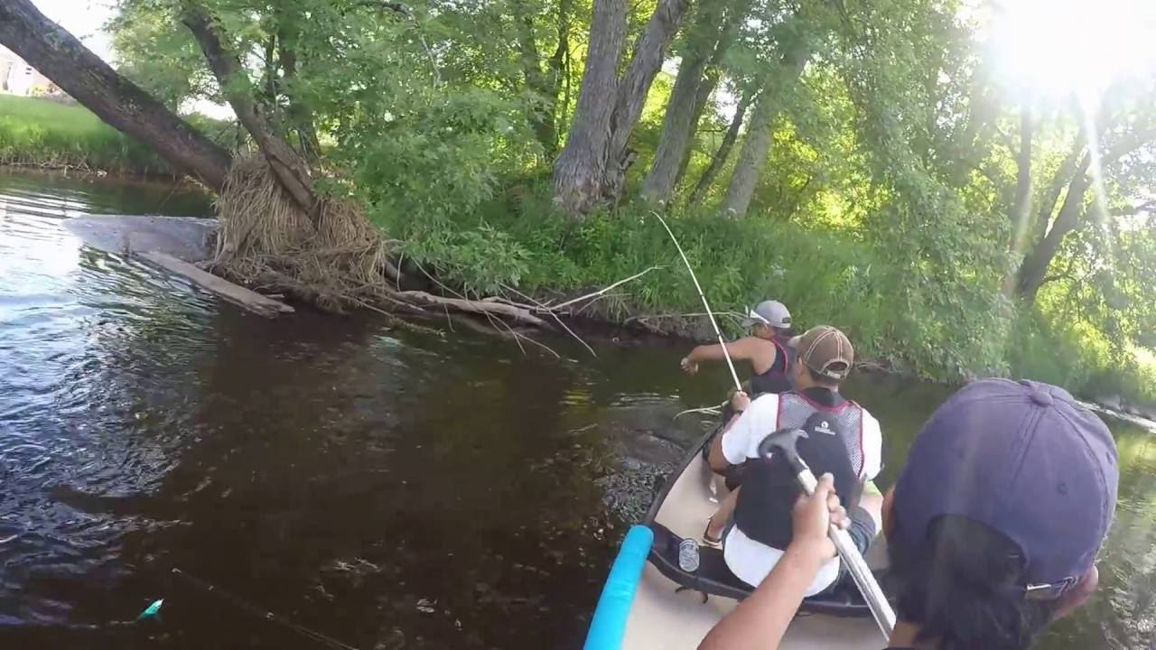 River Fishing Youtube