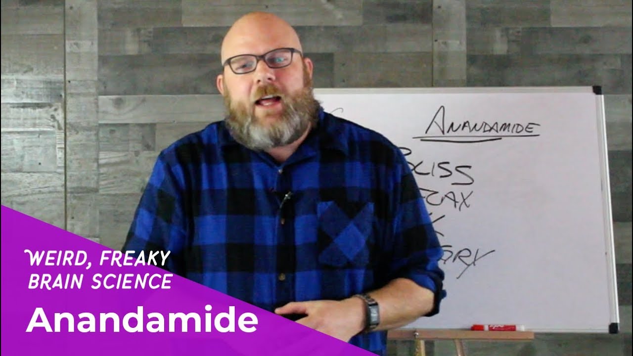Weird Freaky Brain Science Anandamide Youtube
