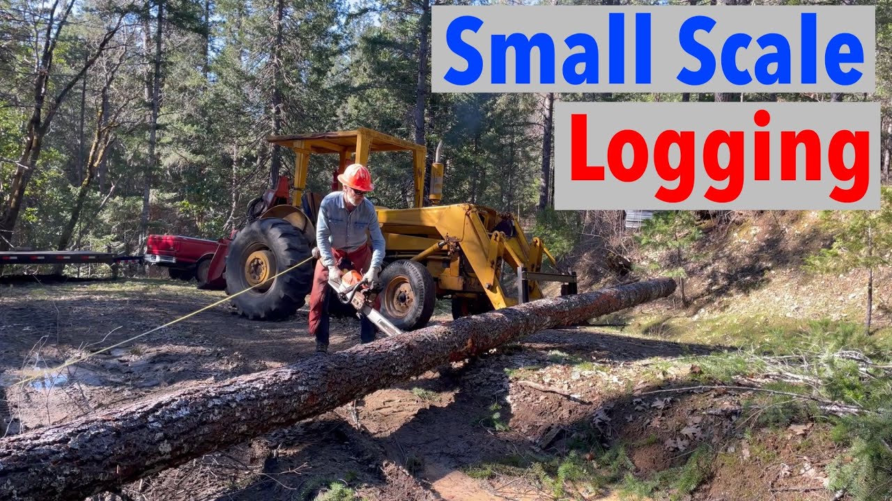 My Small Scale Logging Operation Youtube