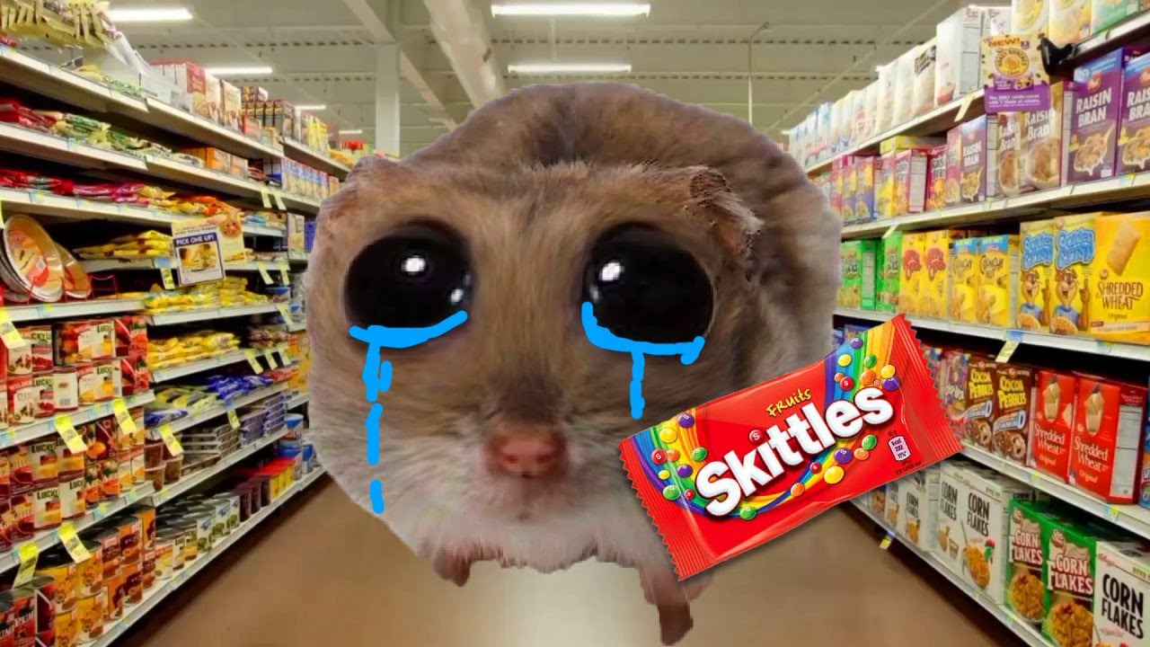 Skittles Meme Sad Hamster Youtube