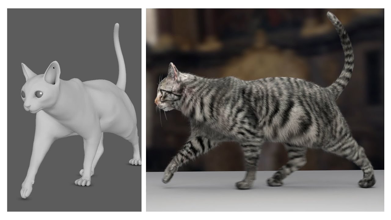 Cat Walk Cycle Test Youtube