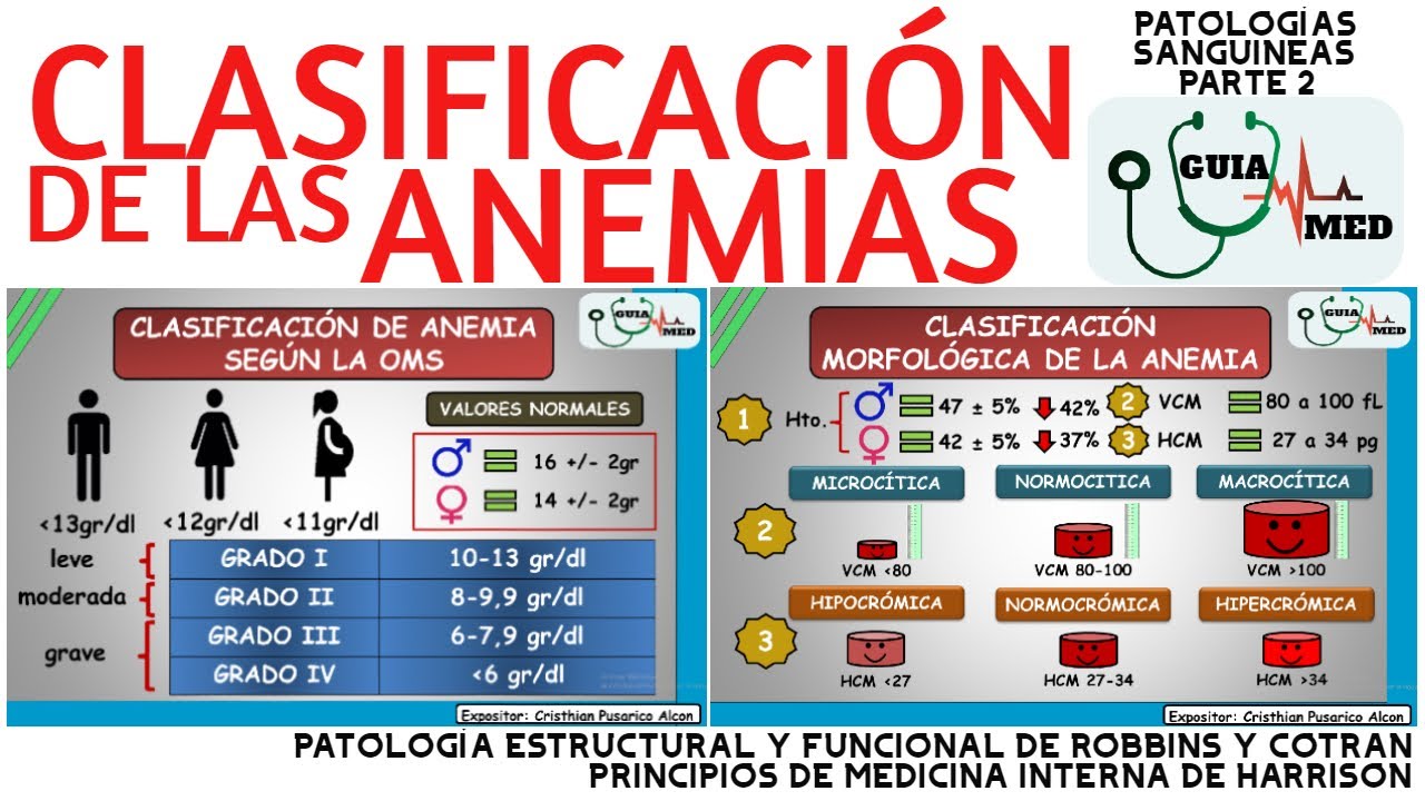 Interpretacion De Hemograma Leucocito Anemia