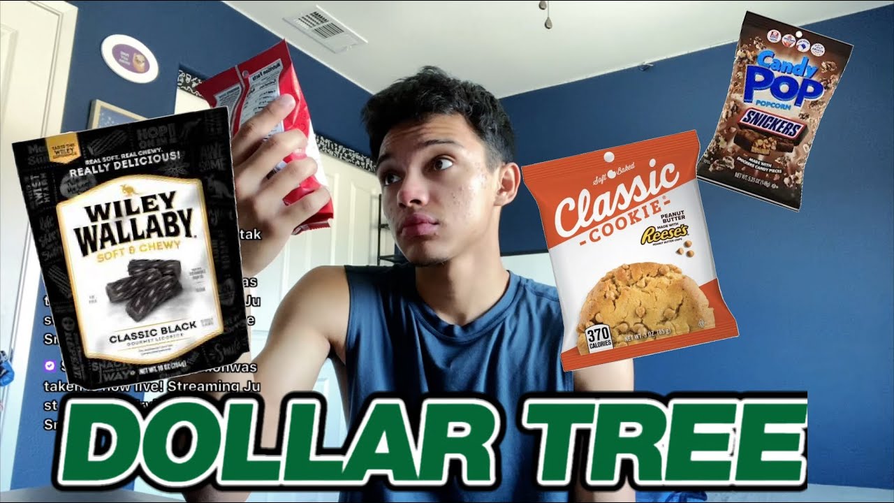 Trying Dollar Tree Snacks Youtube