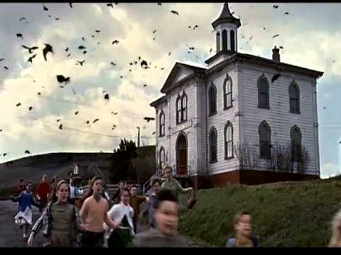 Alfred Hitchcock S The Birds Movie Starred Tippi Hedren Some