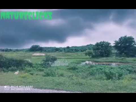 Natureclicks Youtube