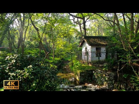 4k Quality Video Full Hd Youtube