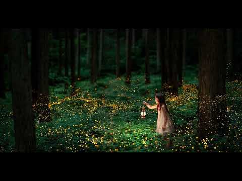 Michael Levine Cold Case Fireflies Youtube