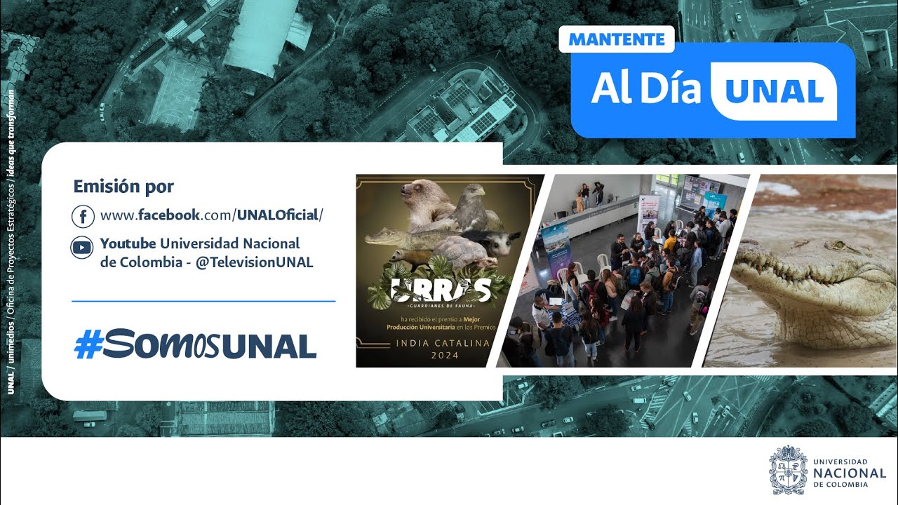 Informativo 03 Al Día Unal Youtube