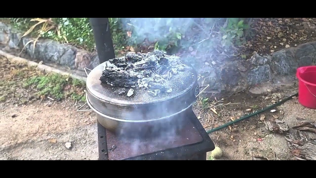 What Have We Here Youtube