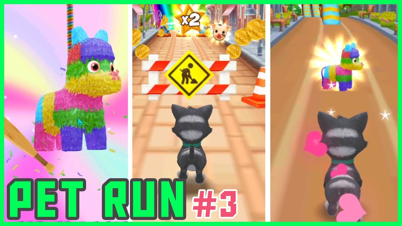 Pet Run Game Cat Running Gameplay Episode 3 Free Youtube