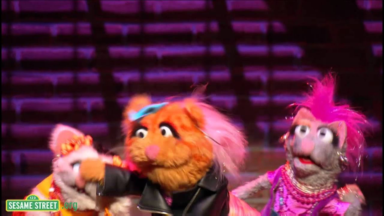 Sesame Street Cat