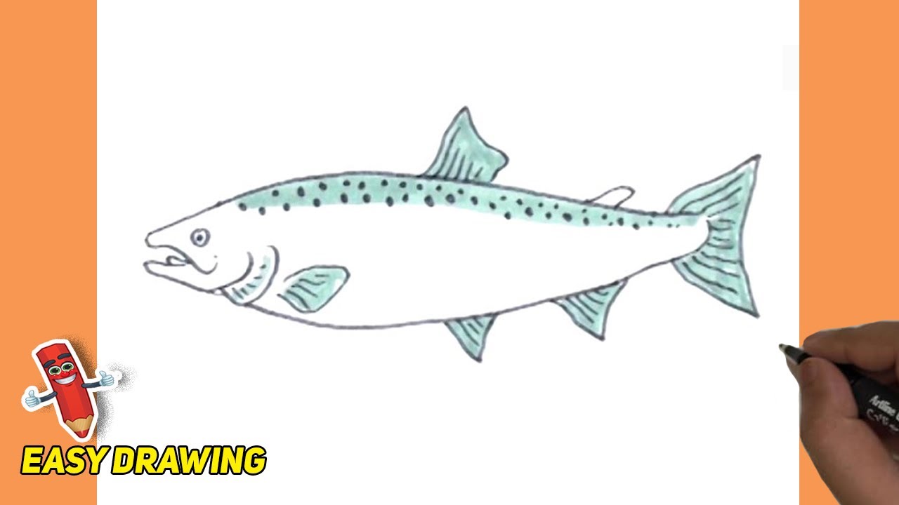 Salmon Drawing Simple At Liam Threlfall Blog