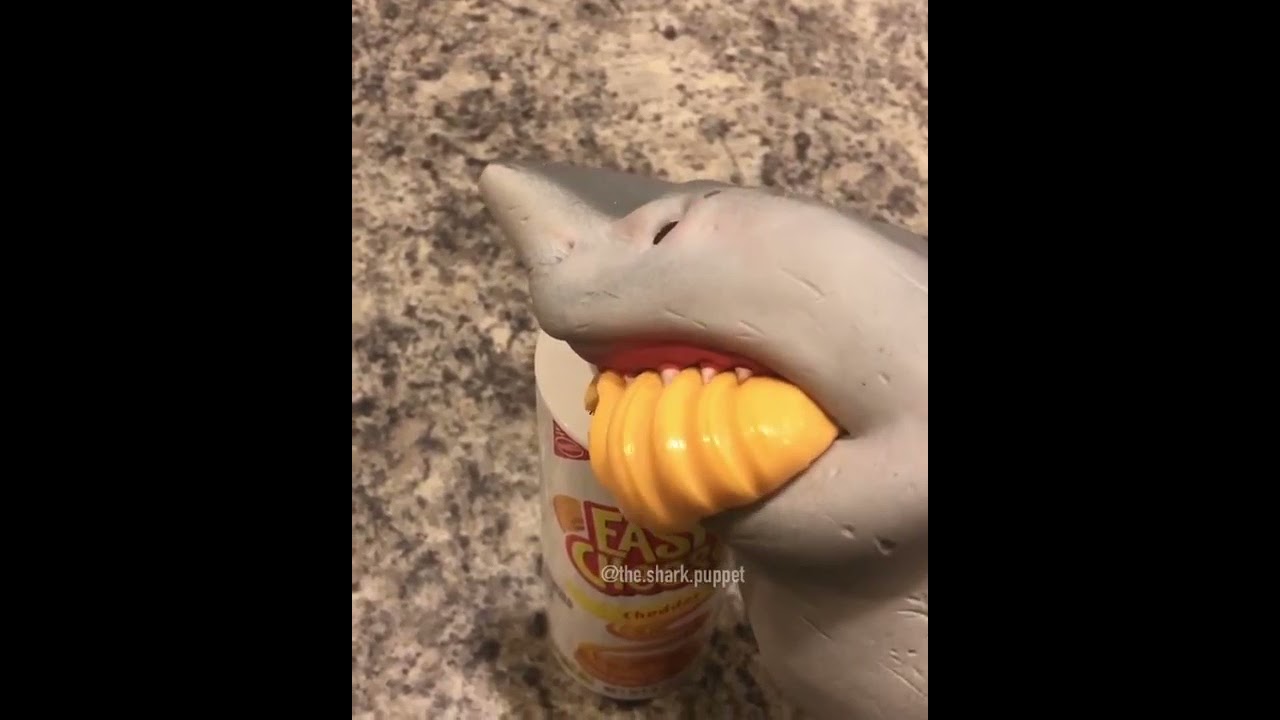 Shark Puppet Eating Cheese For 10 Hours Ulv Youtube