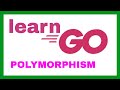 Golang Polymorphism Tutorial Cyber Crash Course