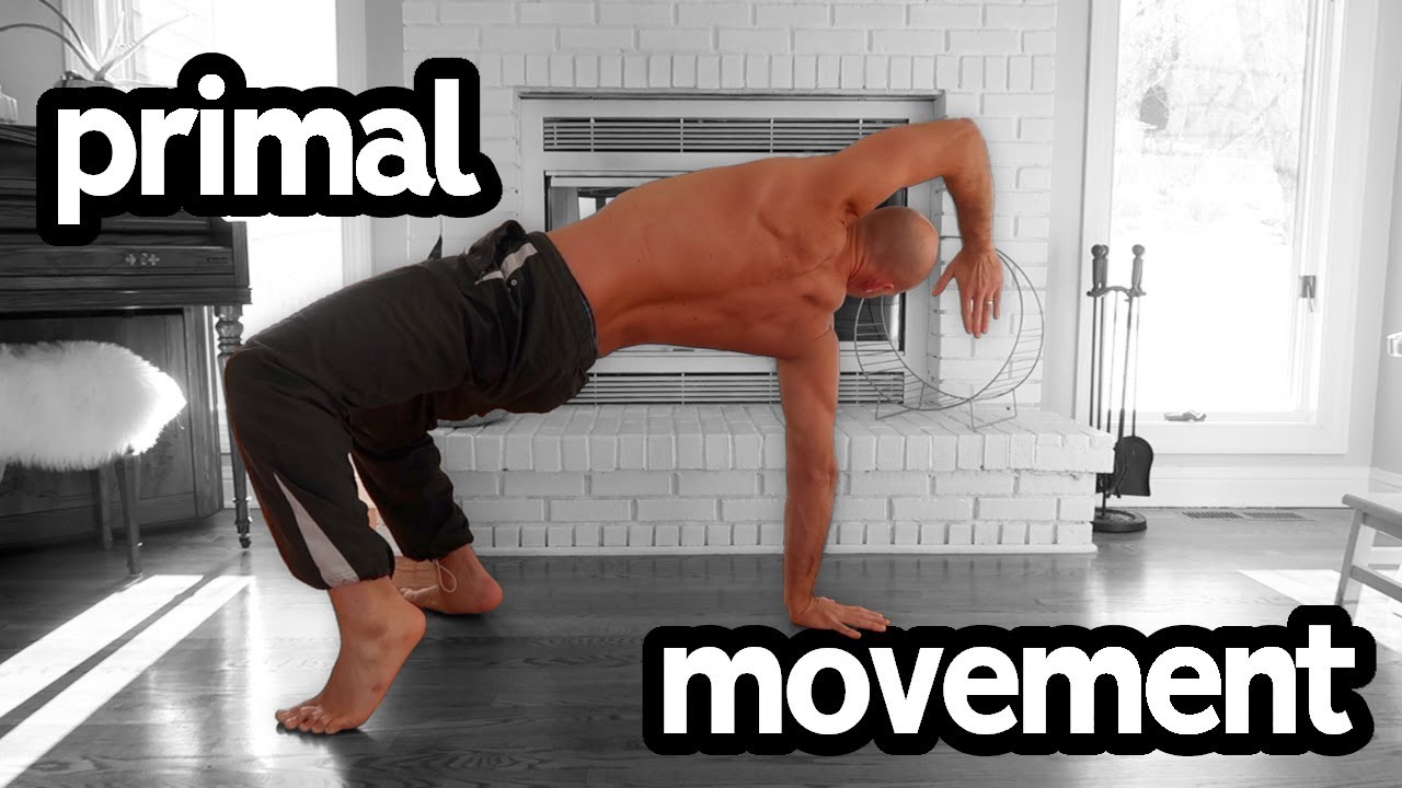 Primal Movement Beginner Flow Tutorial Follow Along Youtube