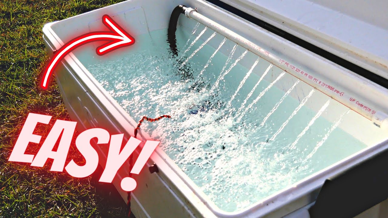 Diy Livewell Easy No Holes Youtube