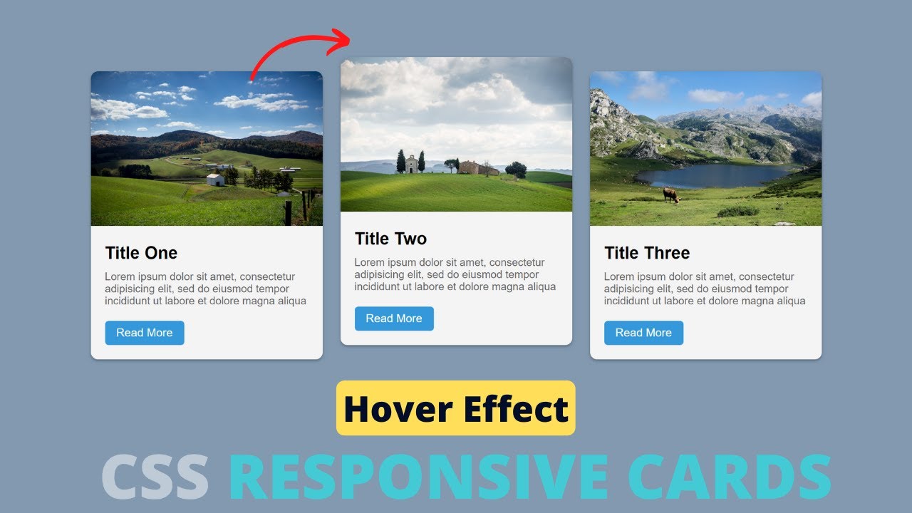 Flexbox Cards At Stephanie Felder Blog