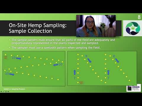 Hemp Lab Sampler Training 2020 Youtube