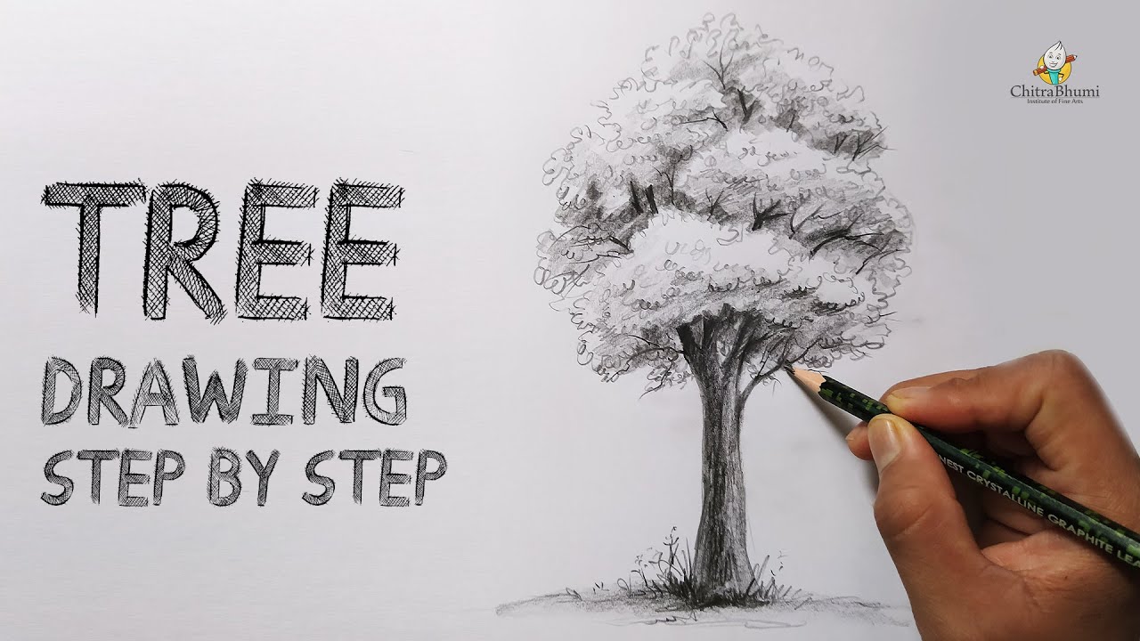 How To Draw A Tree Step By Step With Pencil