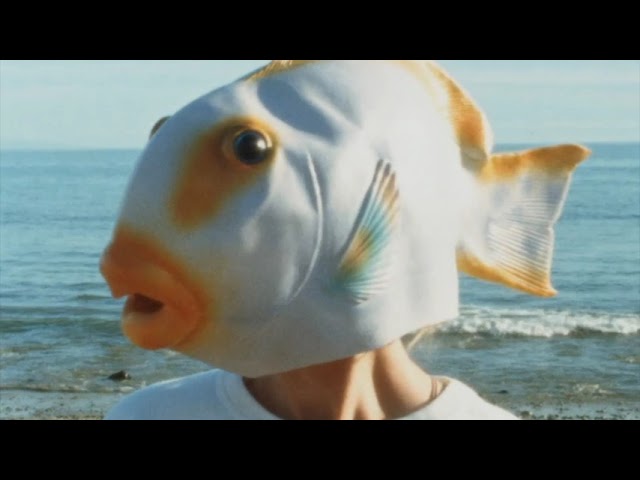 Lydia Luce Never Enough Official Music Video Chords Chordify