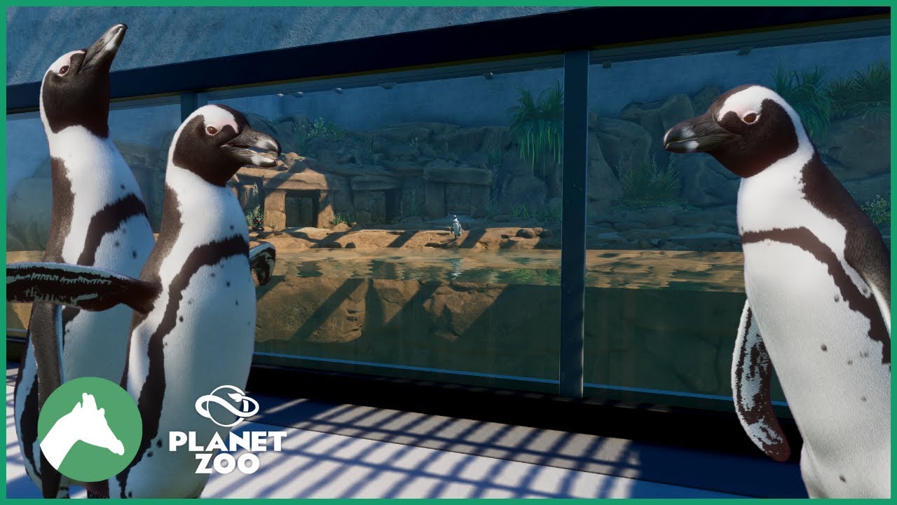 African Planet Zoo At Isla Fatnowna Blog