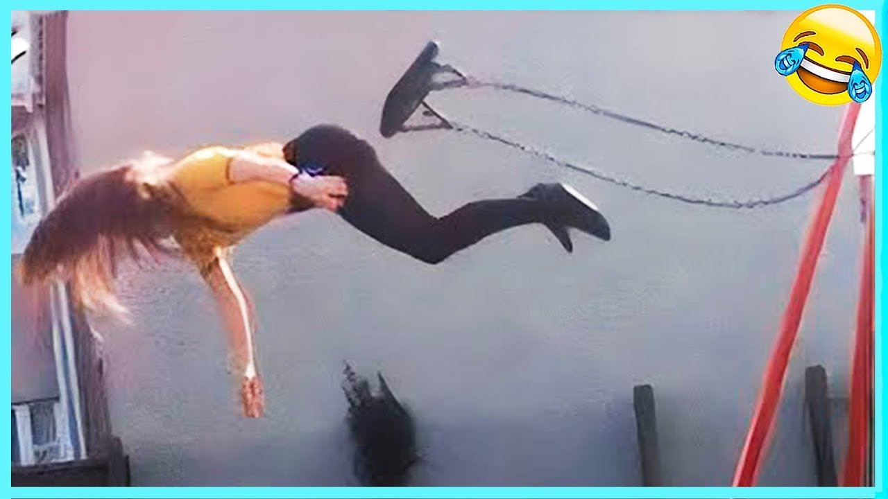 Try Not To Laugh ёяшж Best Funny Videos Compilation Youtube