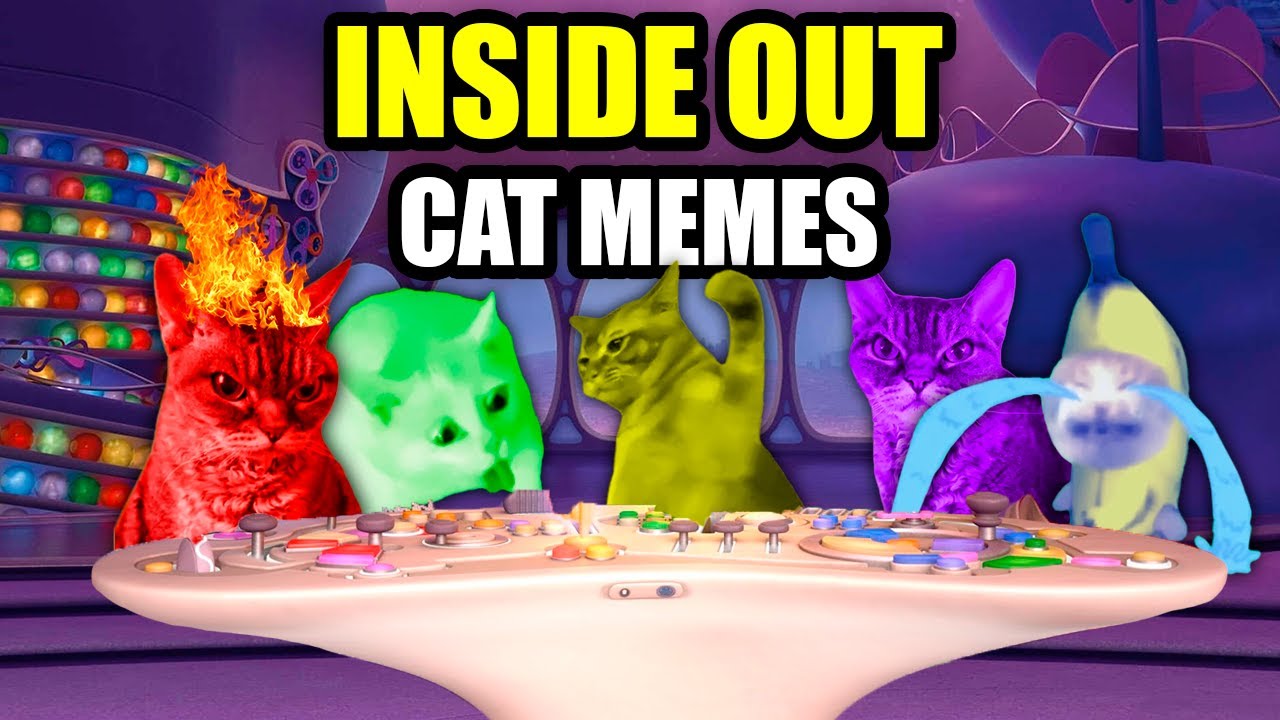 Cat Memes Cat S In Inside Out Youtube