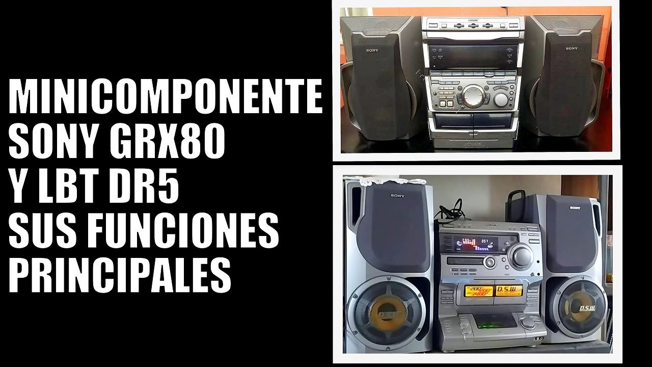 Minicomponentes Sony Grx80 Y Lbt Dr5 Rinoceronte Y Sus Funciones Youtube