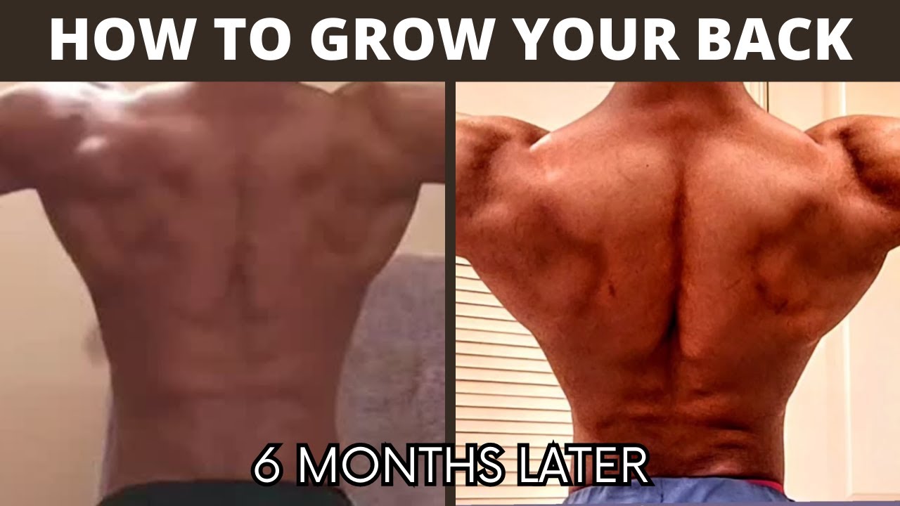 How To Grow Your Back Youtube