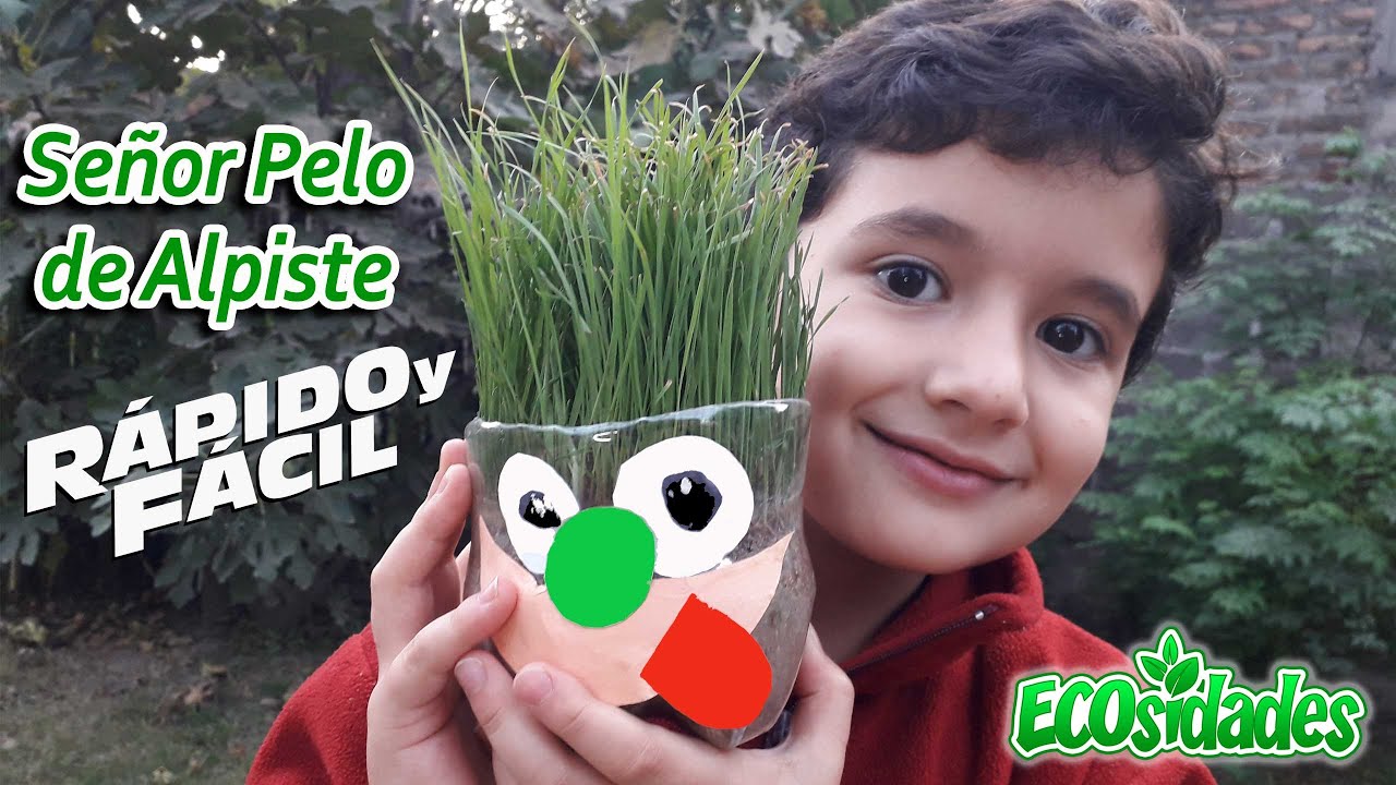 El Señor Pelo De Alpiste Con Material Reciclado Youtube