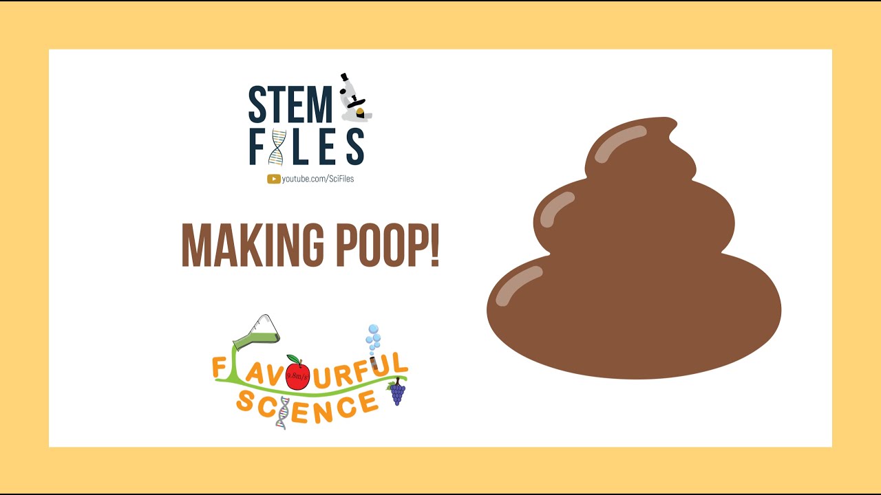 Making Poop Digestion Scifiles X Flavourful Science Youtube