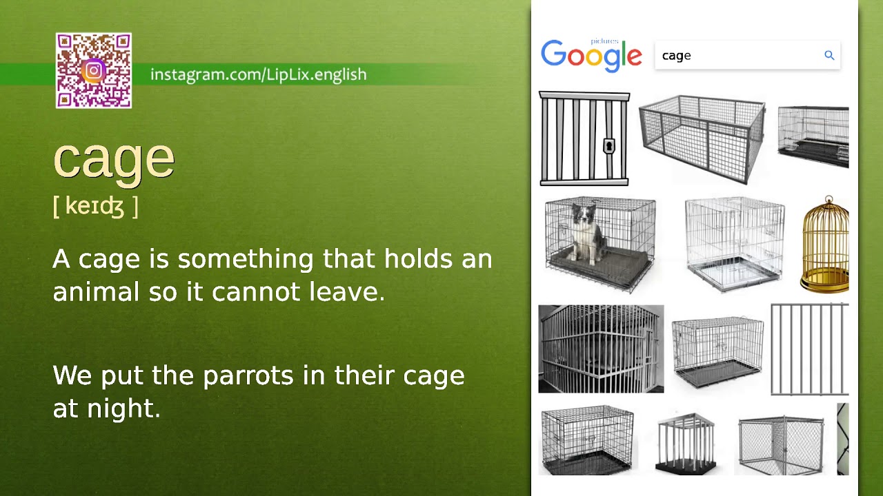 Cage B1 Level English Vocabulary Lesson Www Liplix Youtube