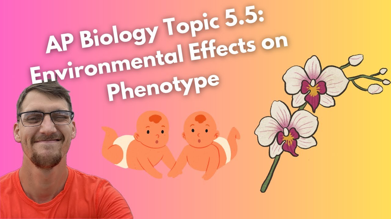 2019 Curriculum 5 5 Environmental Effects On Phenotype Ap Biology