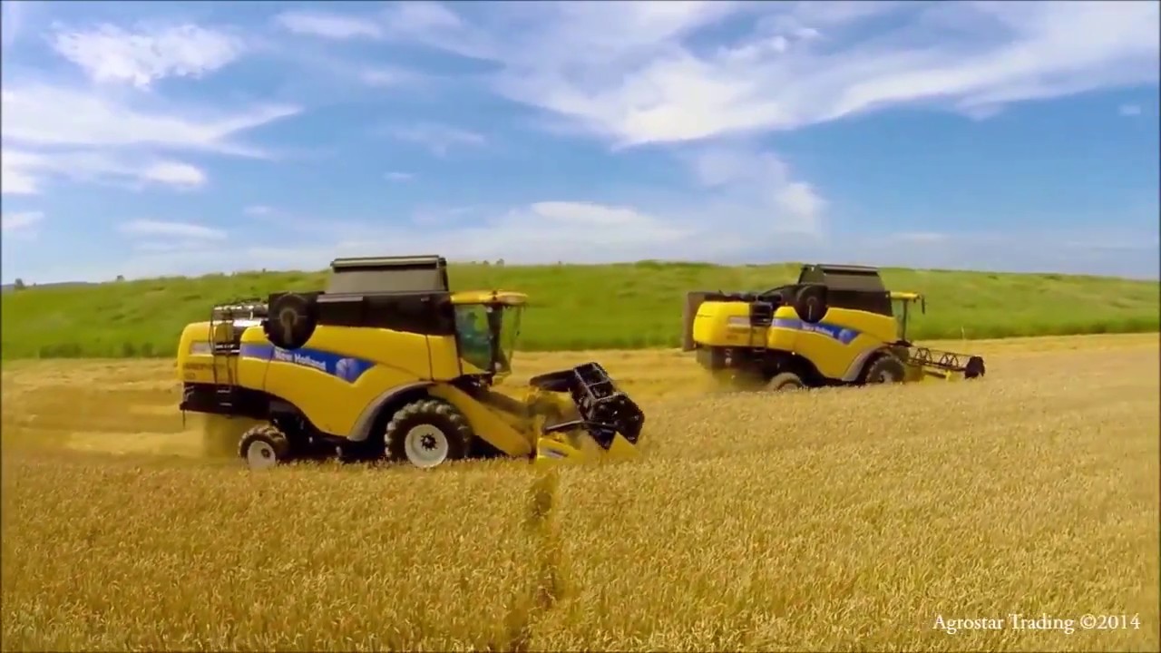 Agrostar Trading Youtube