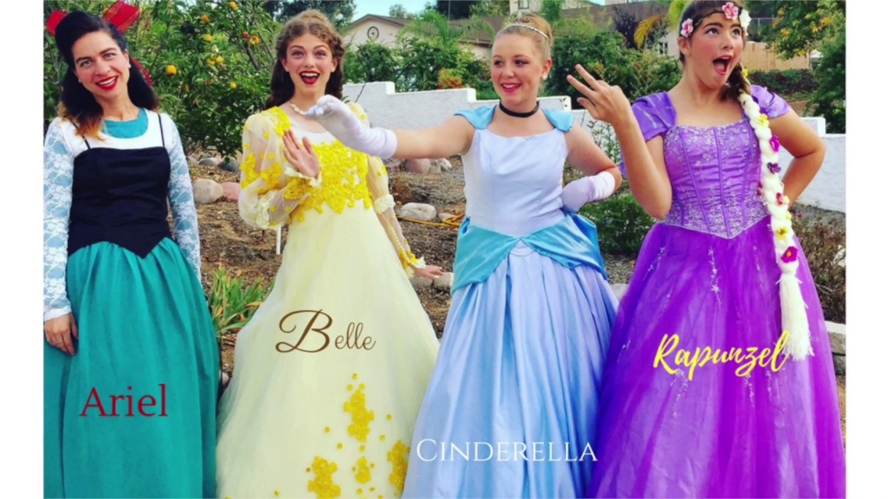 Diy Adult Cinderella Costume
