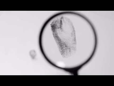 Investigating Fingerprints Stock Footage Youtube