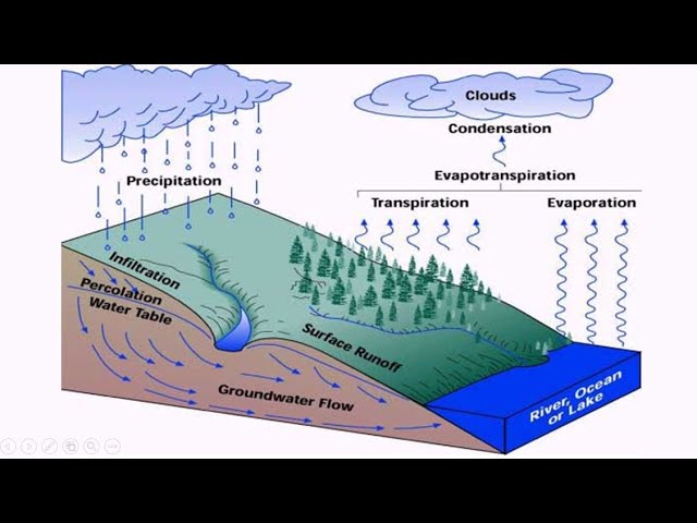Surface Runoff Water Cycle