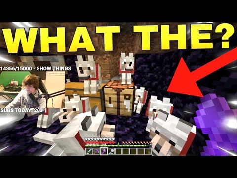 Tubbo Found Technoblades Secret Base On The Dream Smp Youtube