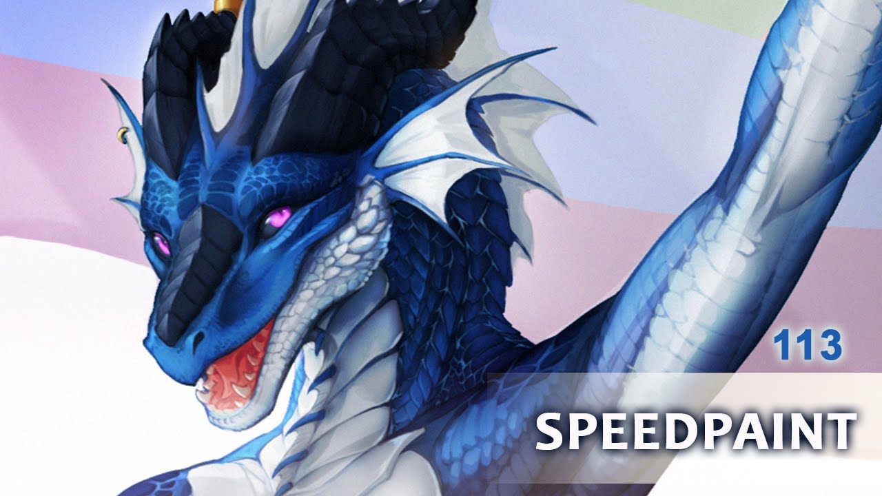 Timelapse 113 Youtube