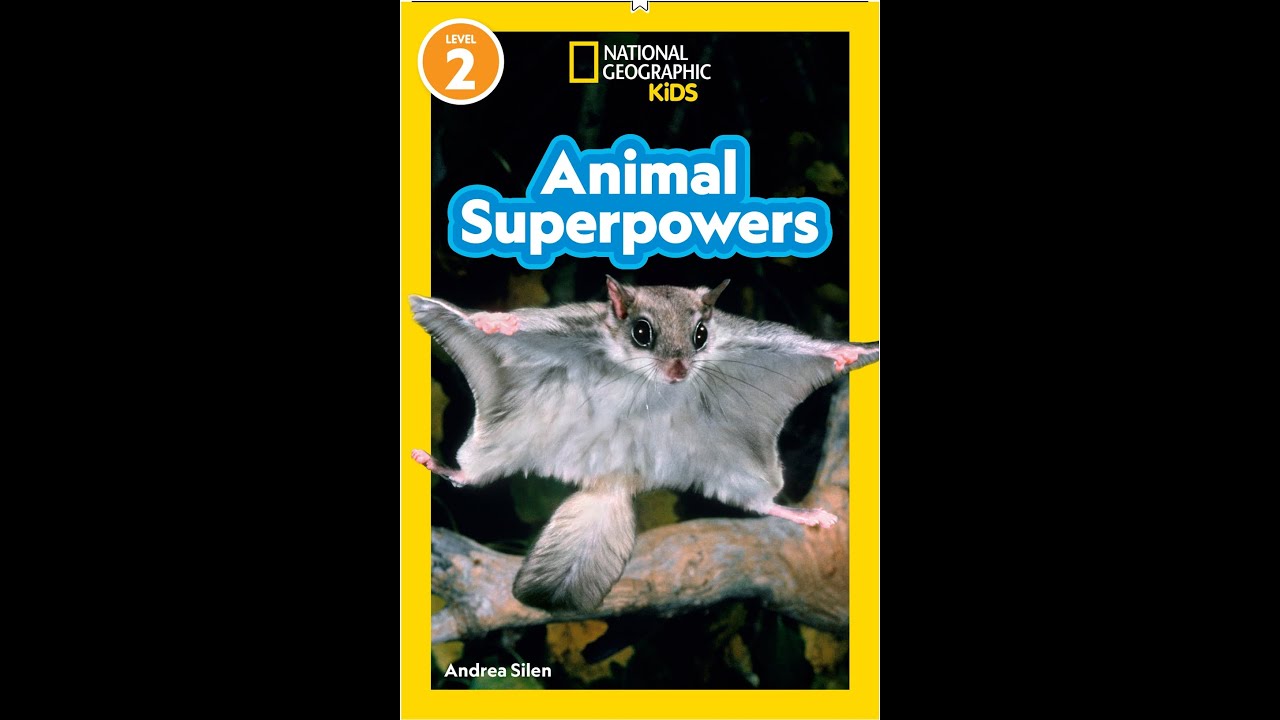 Animal Superpowers Youtube