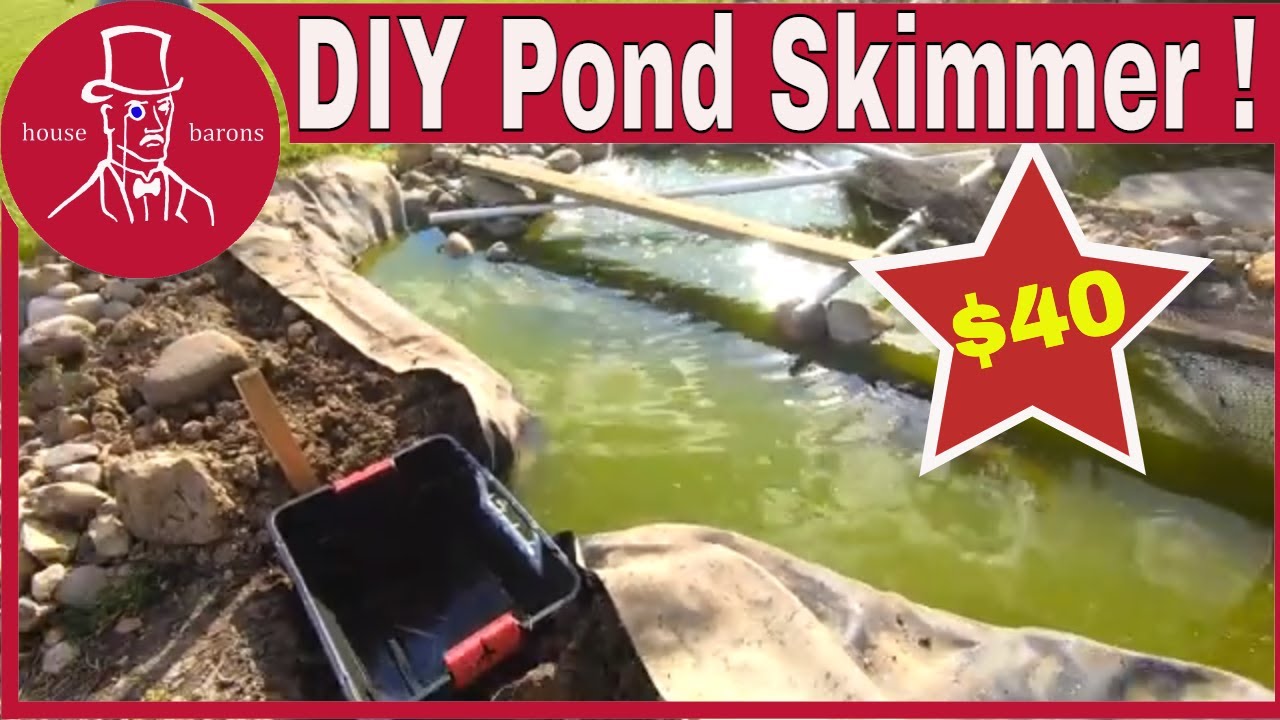 Koi Pond Skimmer Box At Edward Harmon Blog