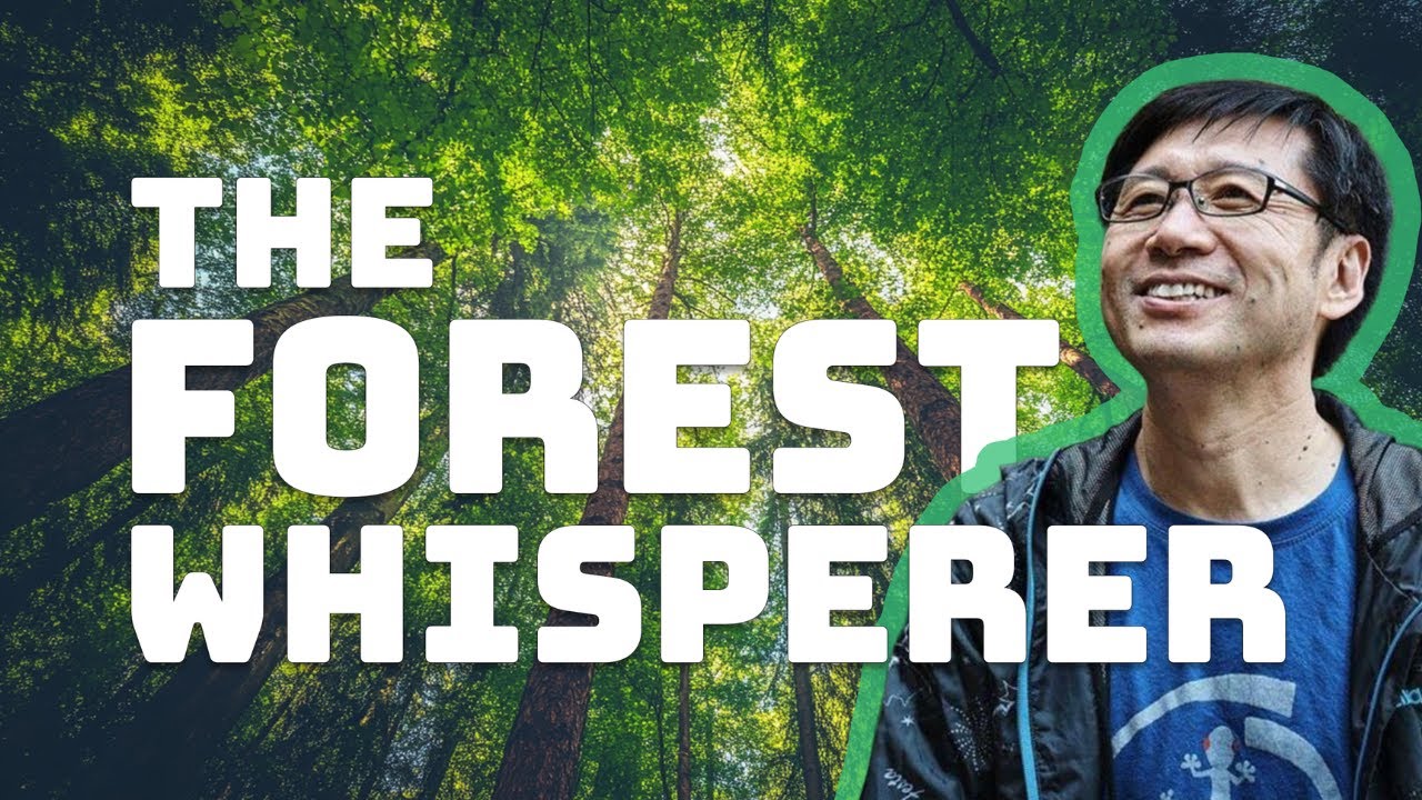 The Tree Whisperer How Dr Qing Li Proved Nature S Healing Power Youtube