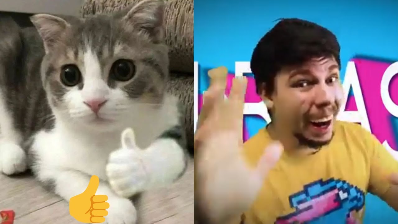 Memes Random Muy Kgue De Risa 16 Shitpost Memes Compilation Youtube